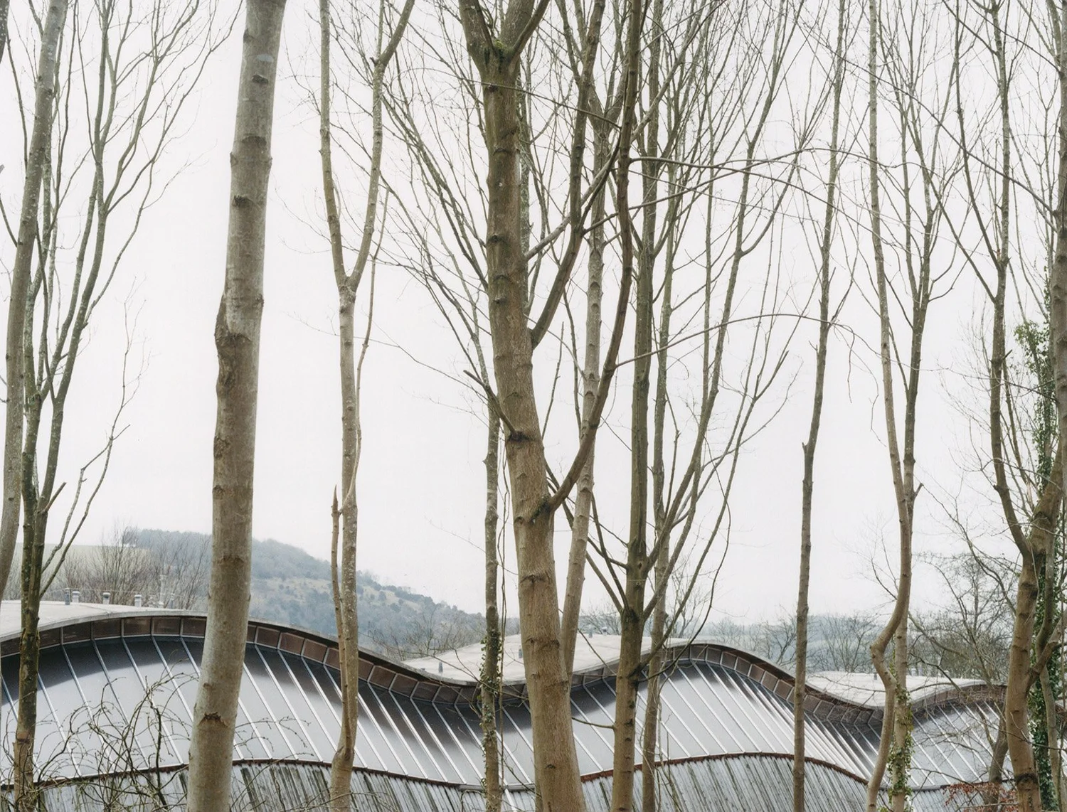 Project - Downland Gridshell — Cullinan Studio