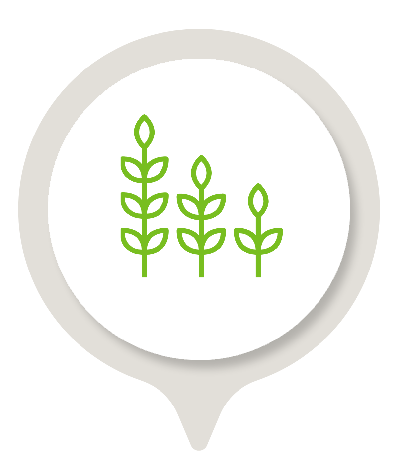 What are our core ministry values? — Overland Hills Church