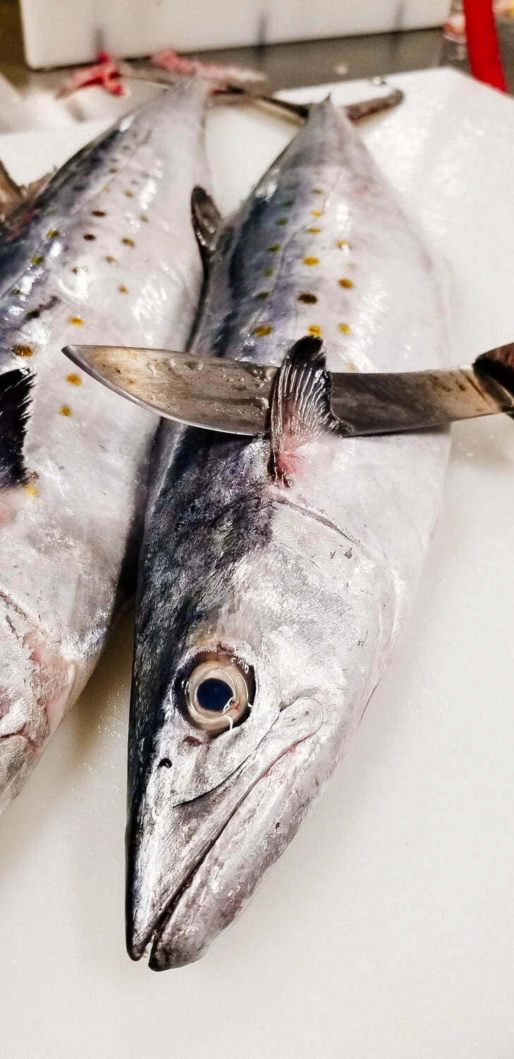Russo's Fresh Seafood Bluffton