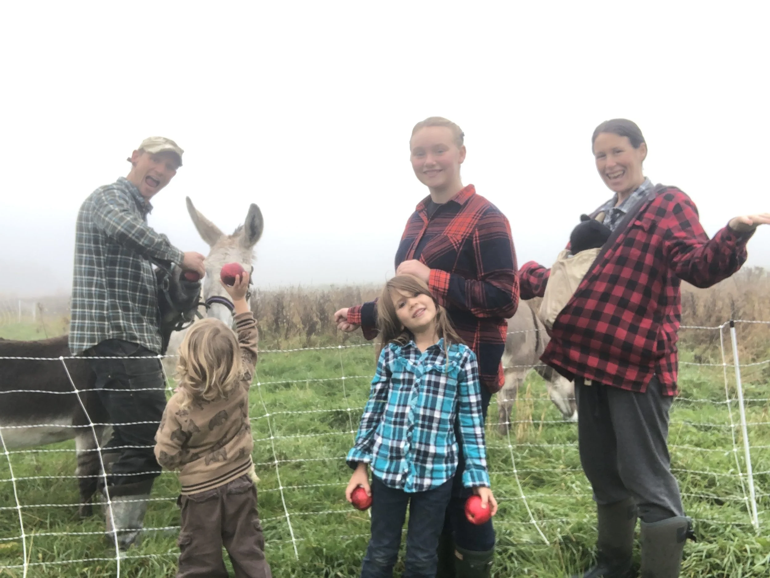 Farm Info — Bleecker & Greer