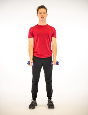 The Rotator Cuff: What is it and its function in the Shoulder ...