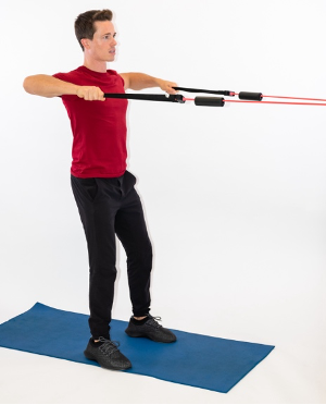 The Rotator Cuff: What is it and its function in the Shoulder ...