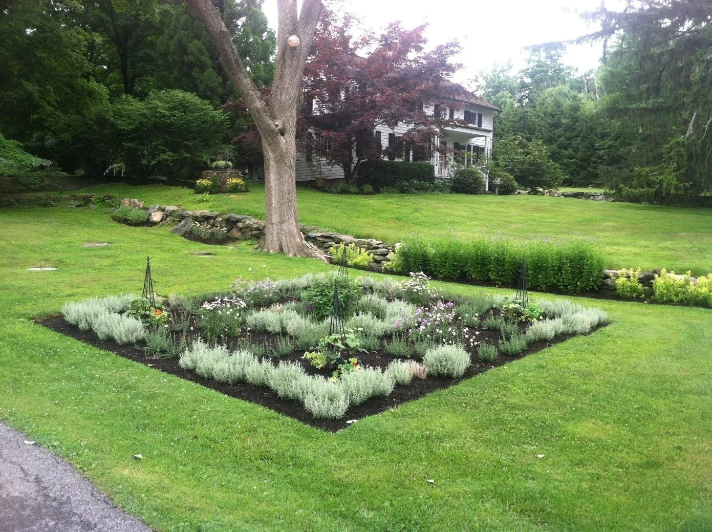 Assess & Reduce Your Carbon Footprint with Gardening — Sweet Earth Co.