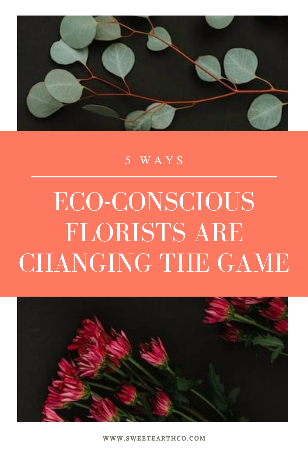 5 Ways Eco-Conscious Florists are Changing the Game — Sweet Earth Co.