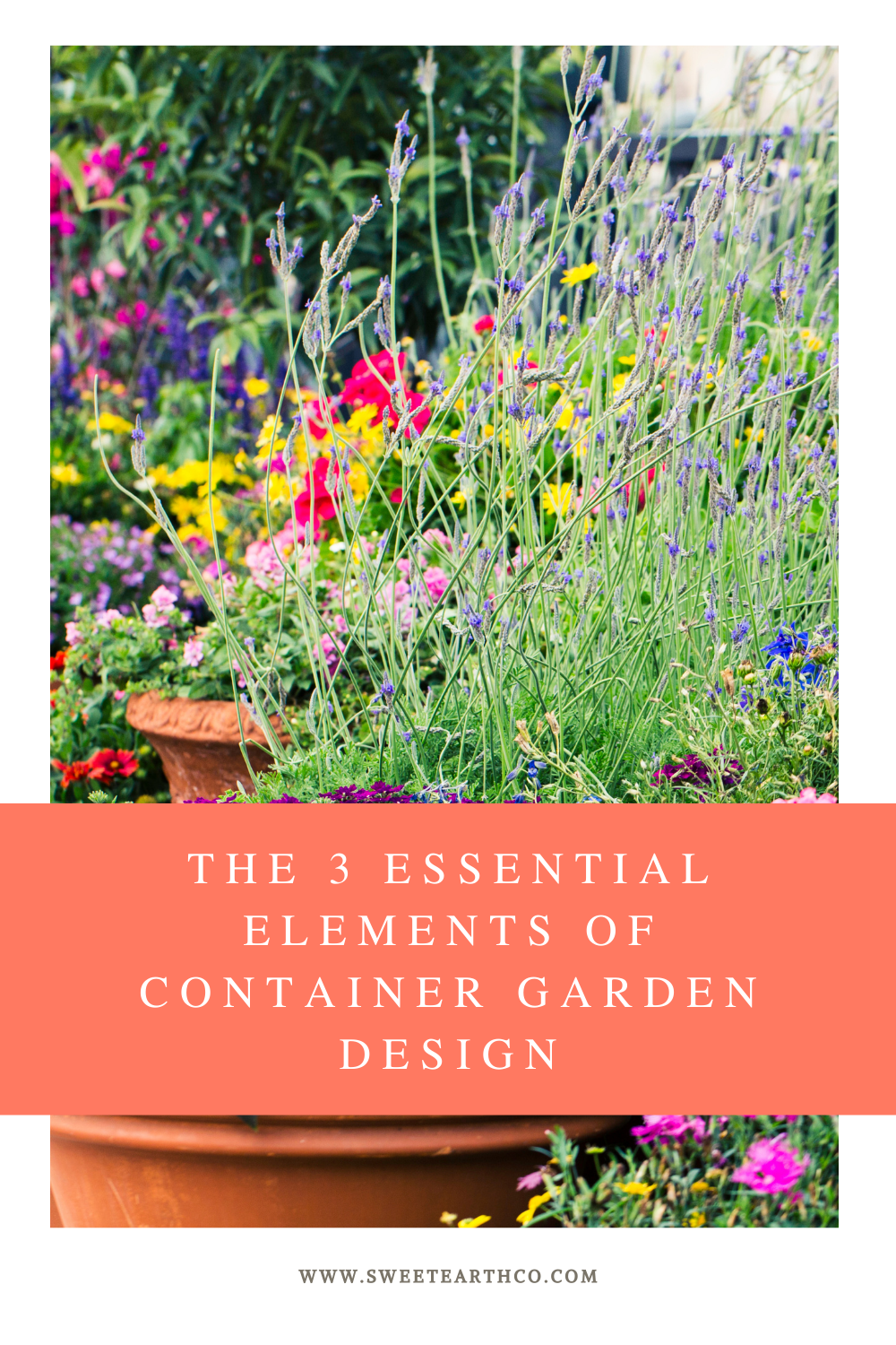 The 3 Essential Elements of Container Garden Design — Sweet Earth Co.