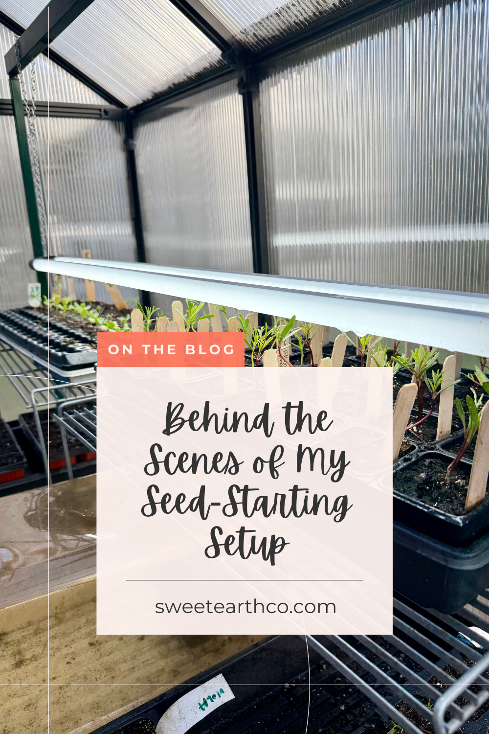 Behind the Scenes of My Seed-Starting Setup (+ What You Need to Get ...