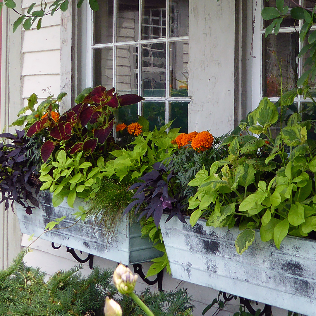 Maximizing Small Spaces with Flower Patches and Container Gardens ...