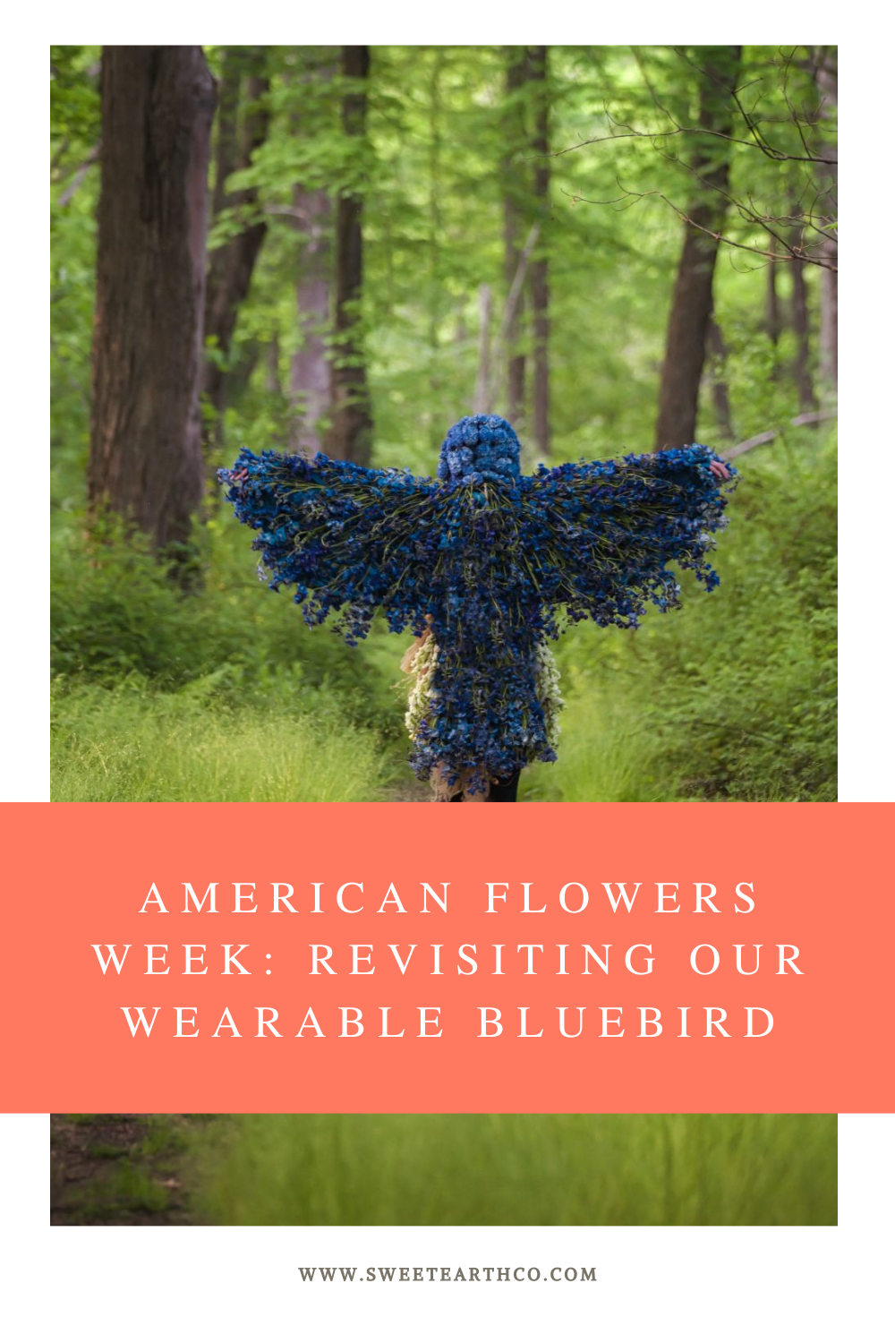 American Flowers Week: Revisiting Our Wearable Bluebird — Sweet Earth Co.