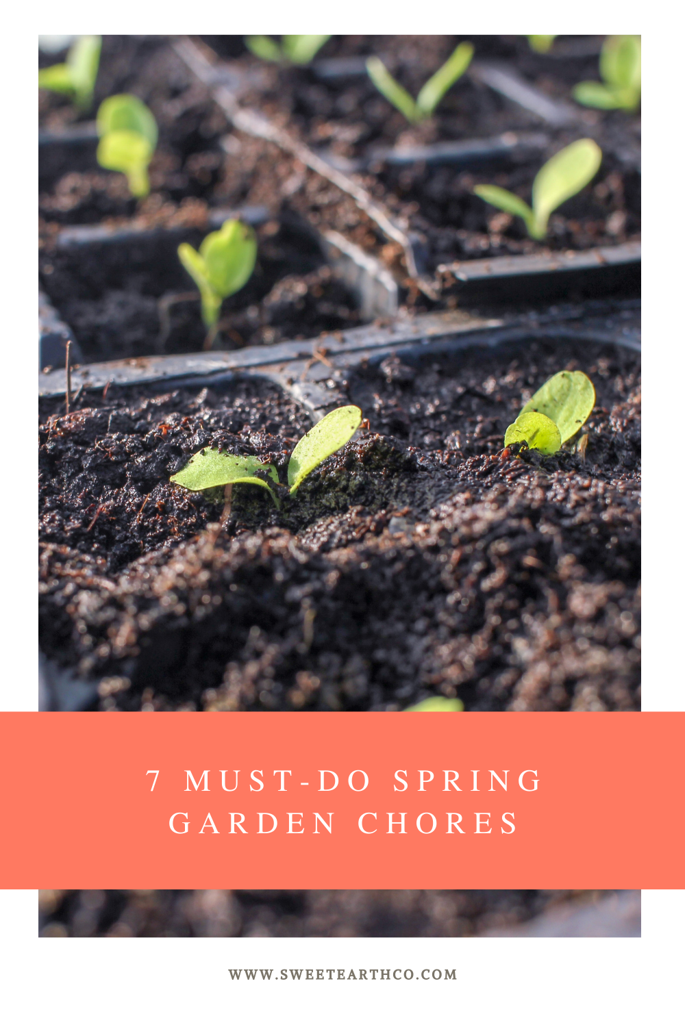 7 Must-Do Spring Garden Chores — Sweet Earth Co.