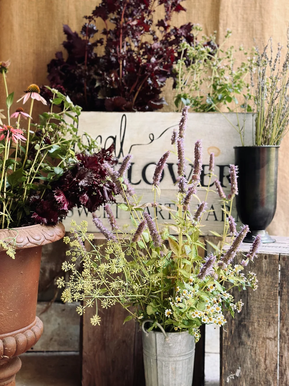 All About Herbs: How & Why We Grow Them — Sweet Earth Co.