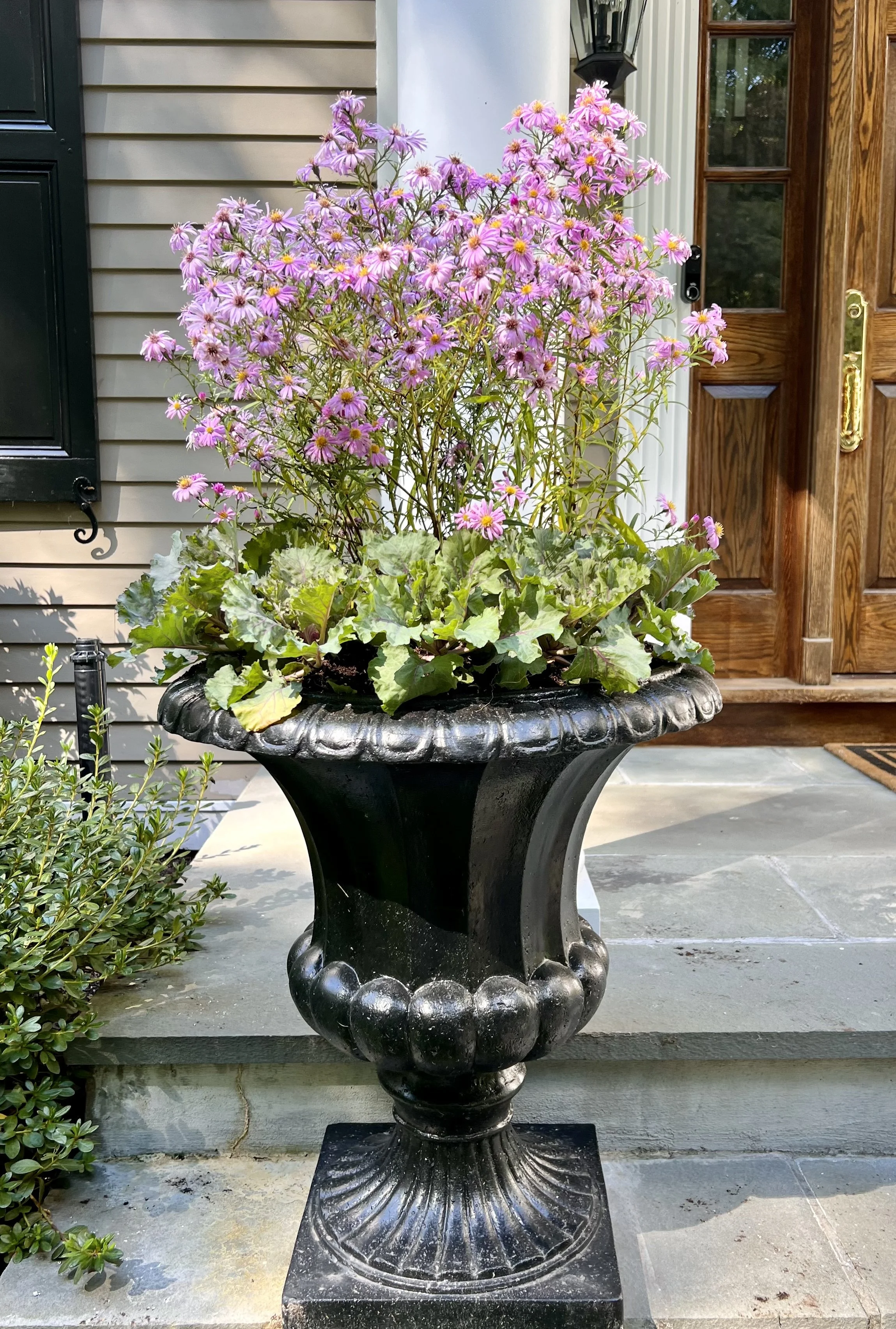 The 3 Essential Elements of Container Garden Design — Sweet Earth Co.