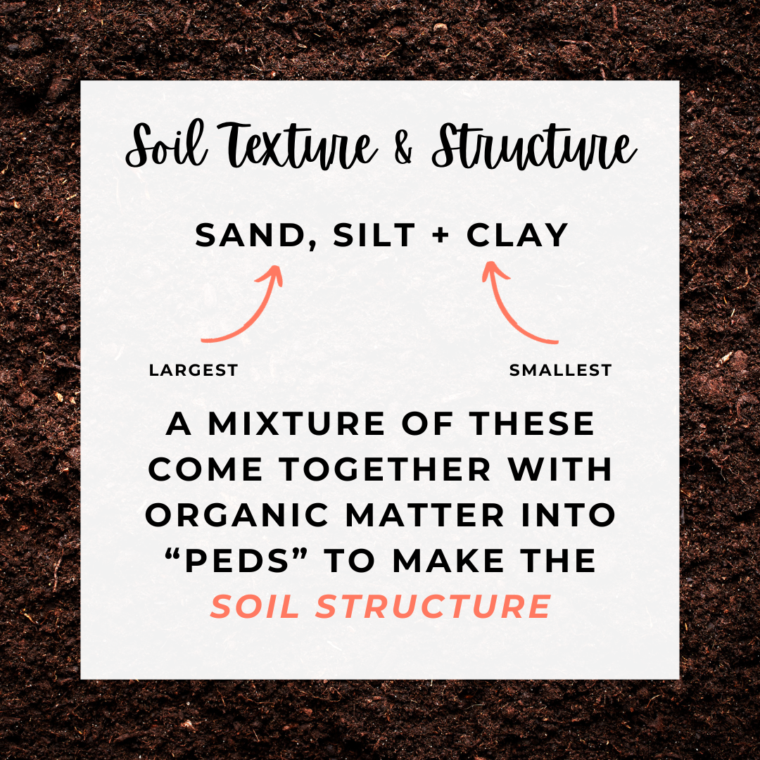 The Soil Formula You Need to Know — Sweet Earth Co.