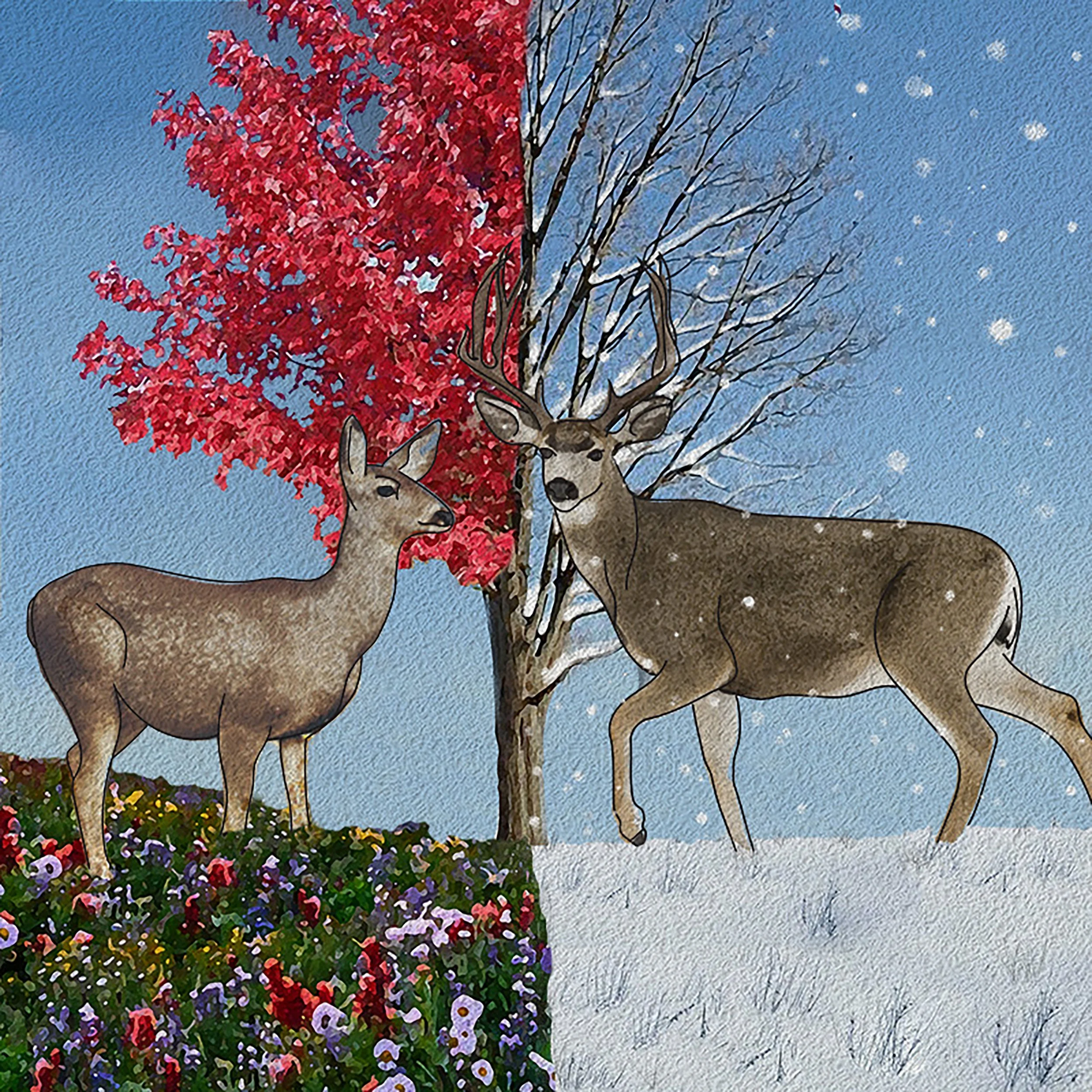 Lift Ticket Contestants — ArtZone Sun Peaks