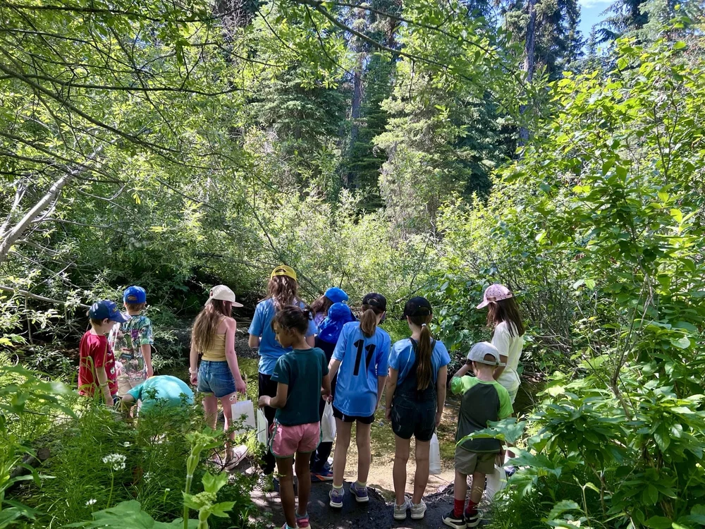 Summer Camps 2026 — ArtZone Sun Peaks
