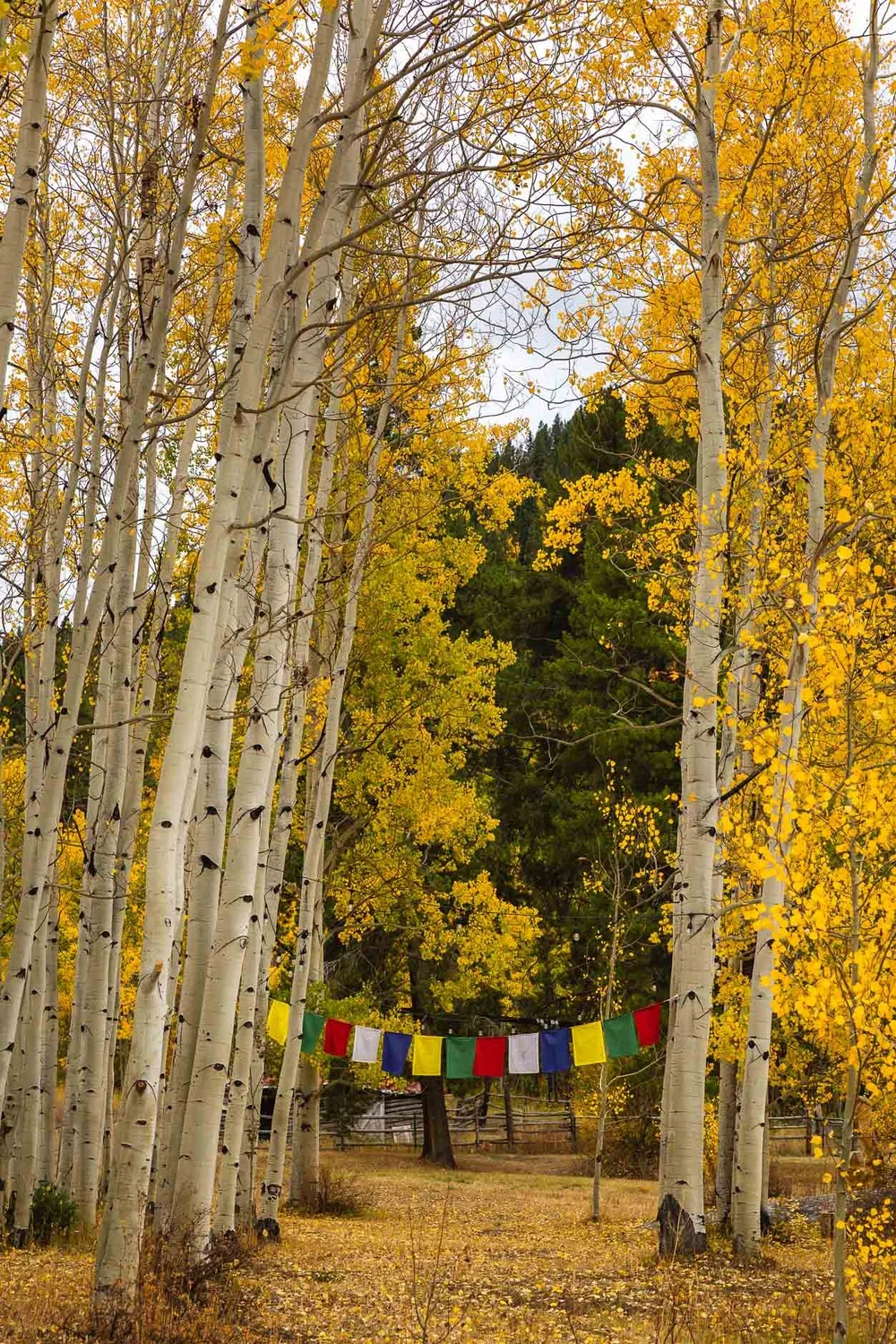 Beyul Retreat - Gallery 2