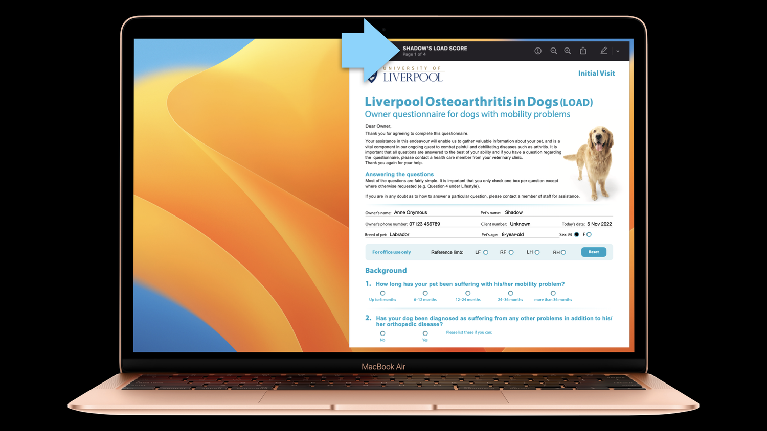 LOAD — VETLESSONS
