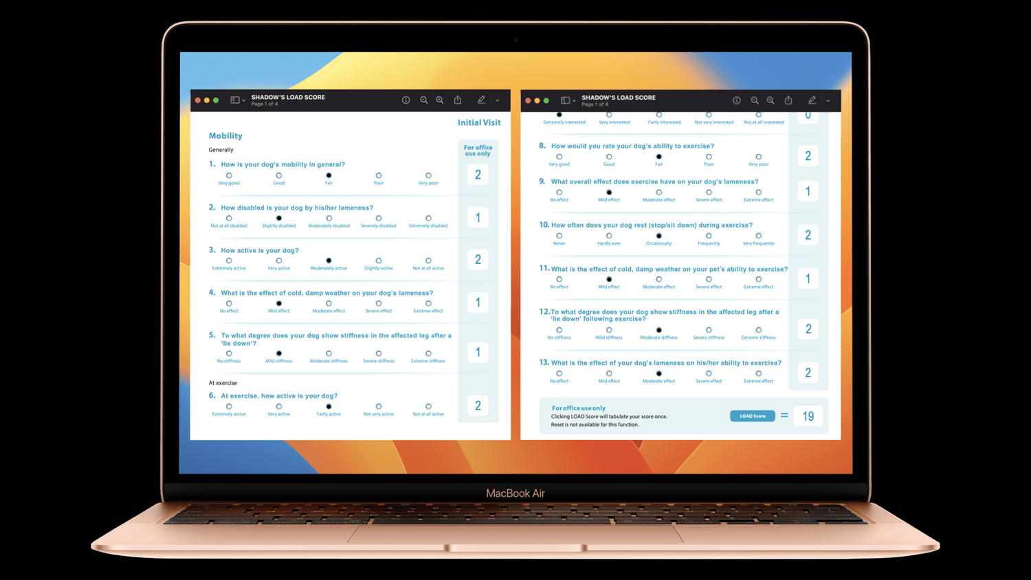 LIVERPOOL OSTEOARTHRITIS IN DOGS (LOAD) — VETLESSONS