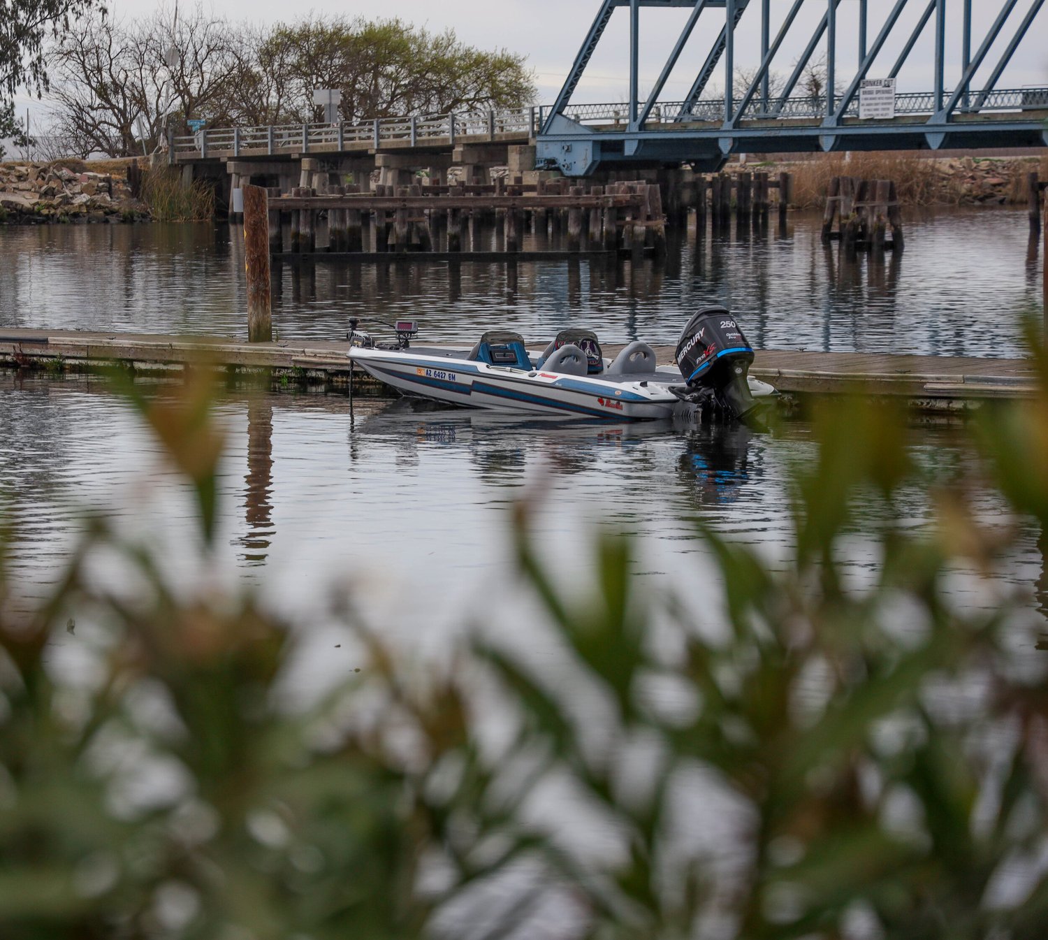 About Us — Bearded Bassin