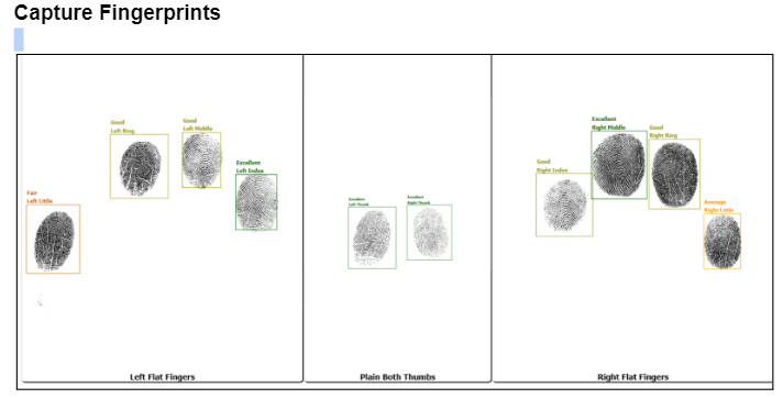 Fingerprints — SafeHiring Solutions