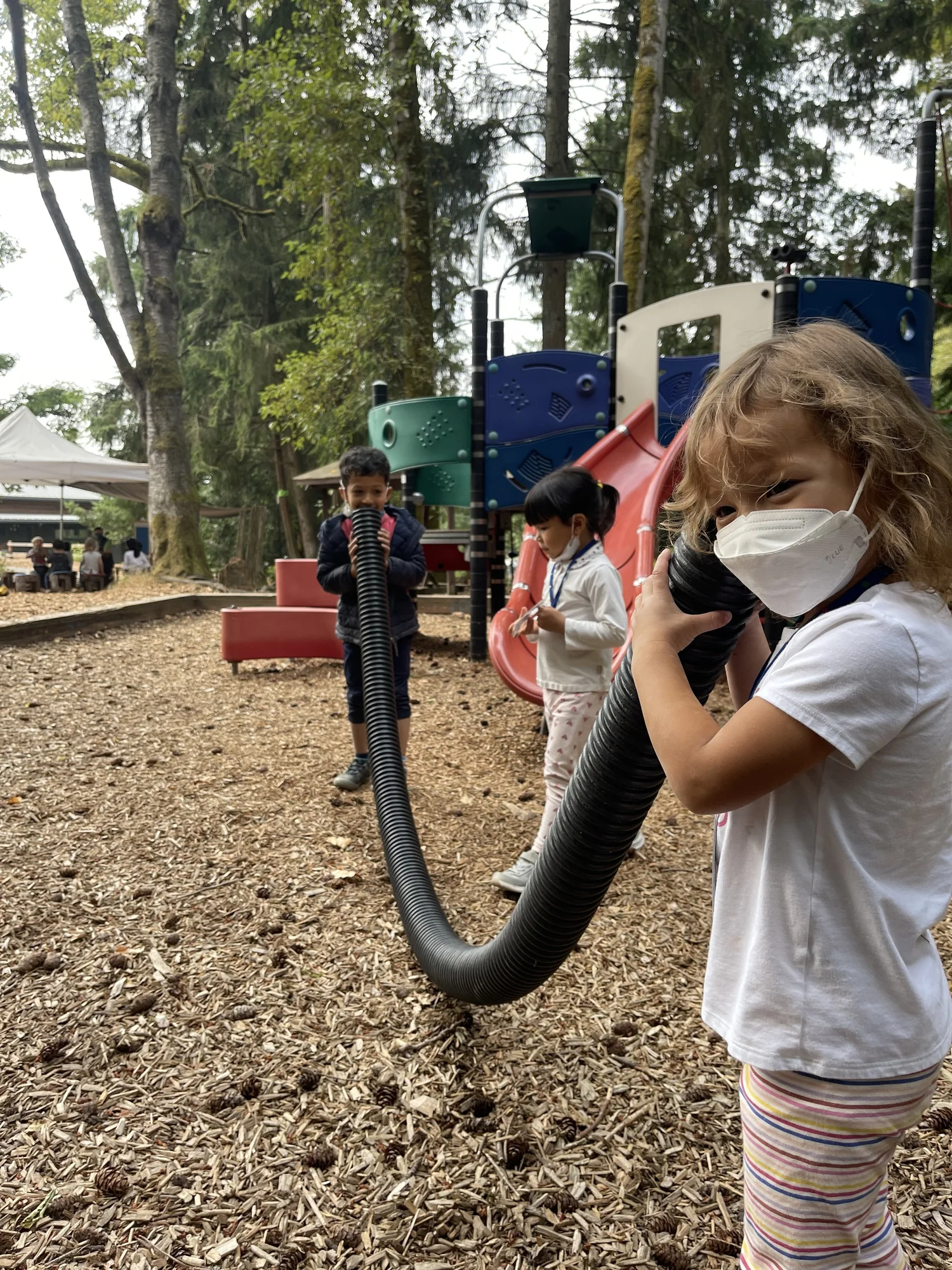 Tour The Little School