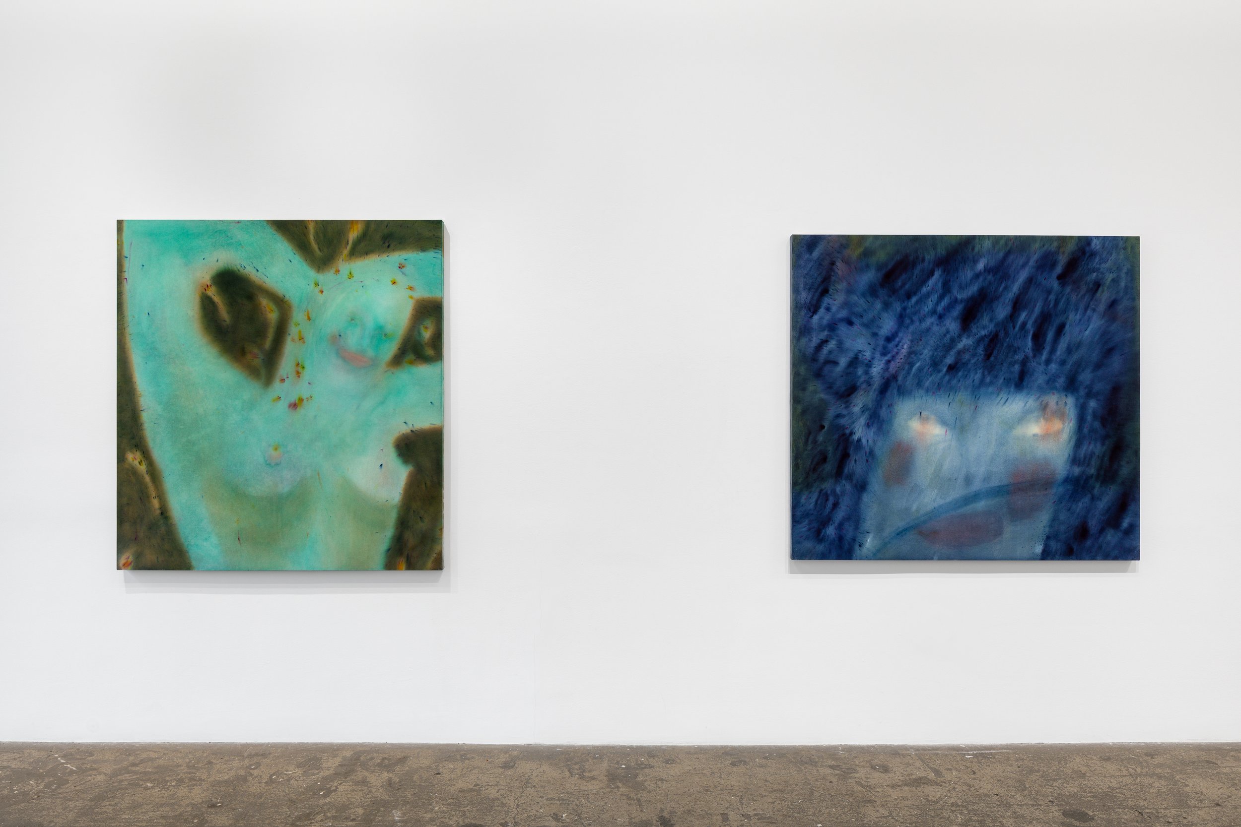 Loren Erdrich - In a Certain Light — SHRINE