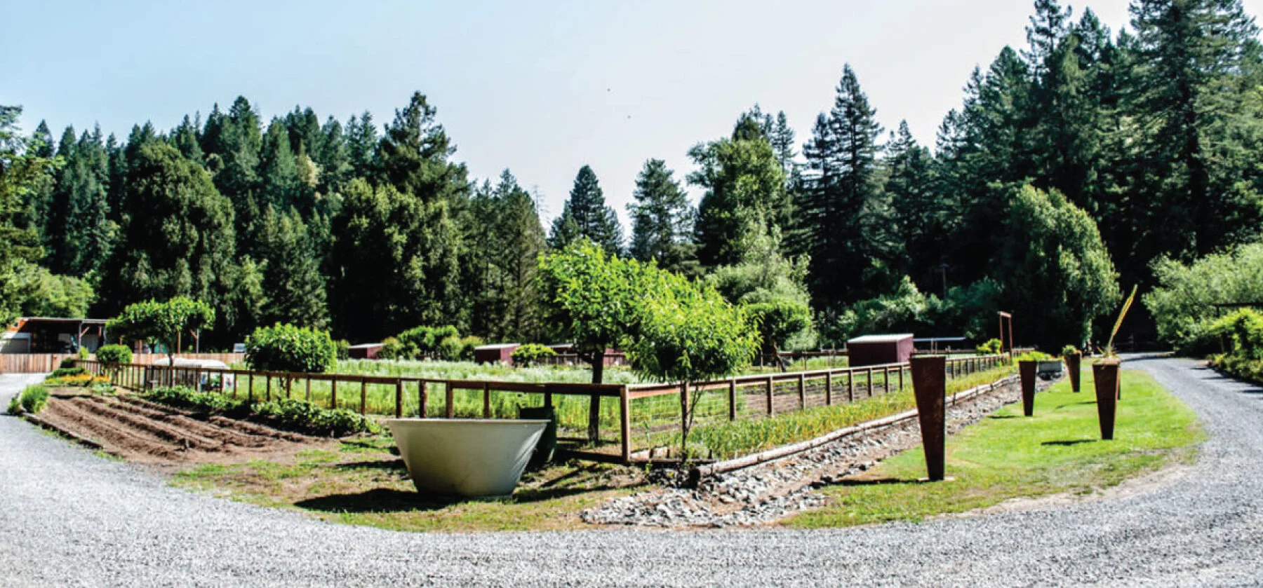 About — Sabor Mexicano | Home Made