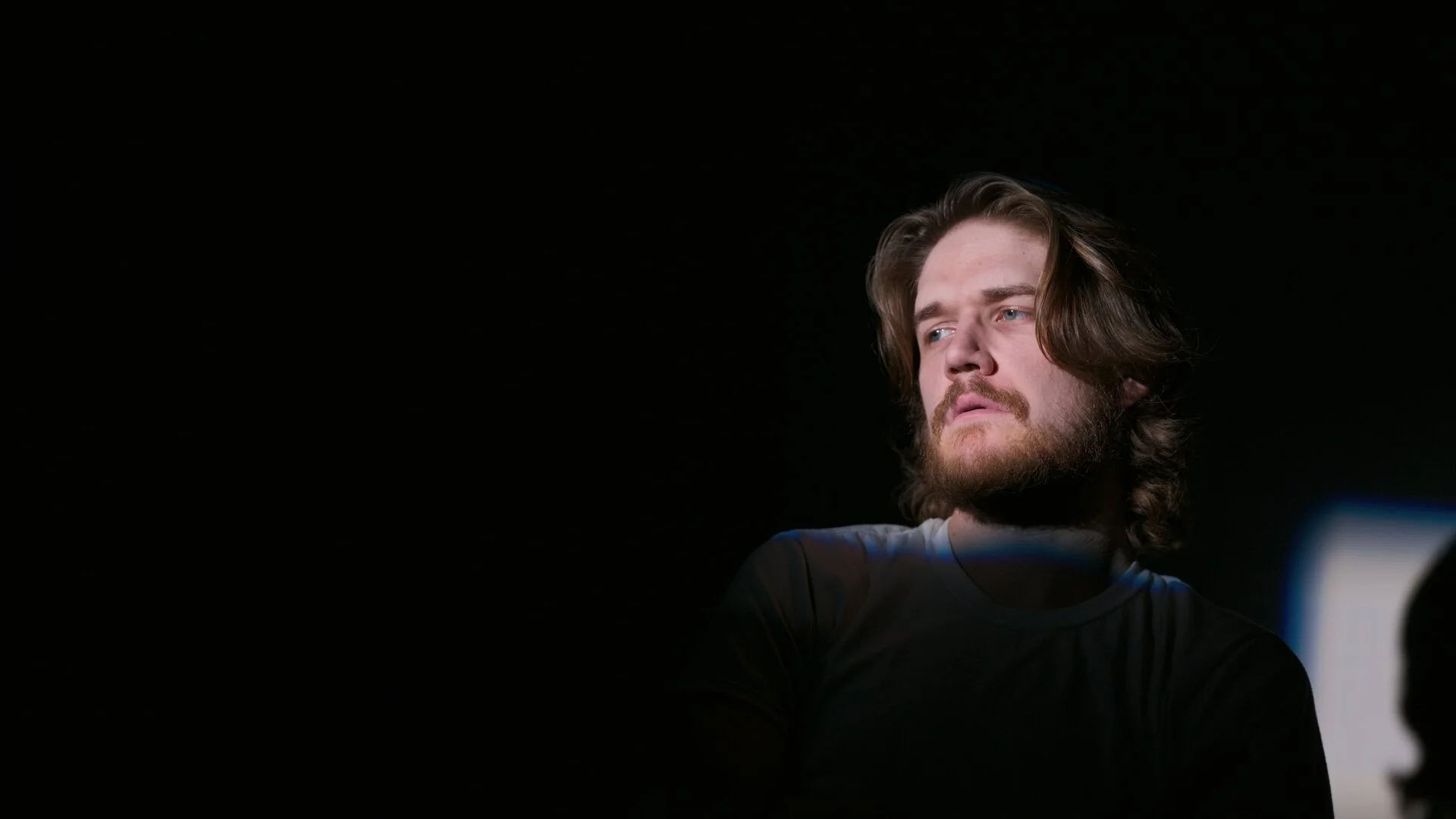 Color Collective llc