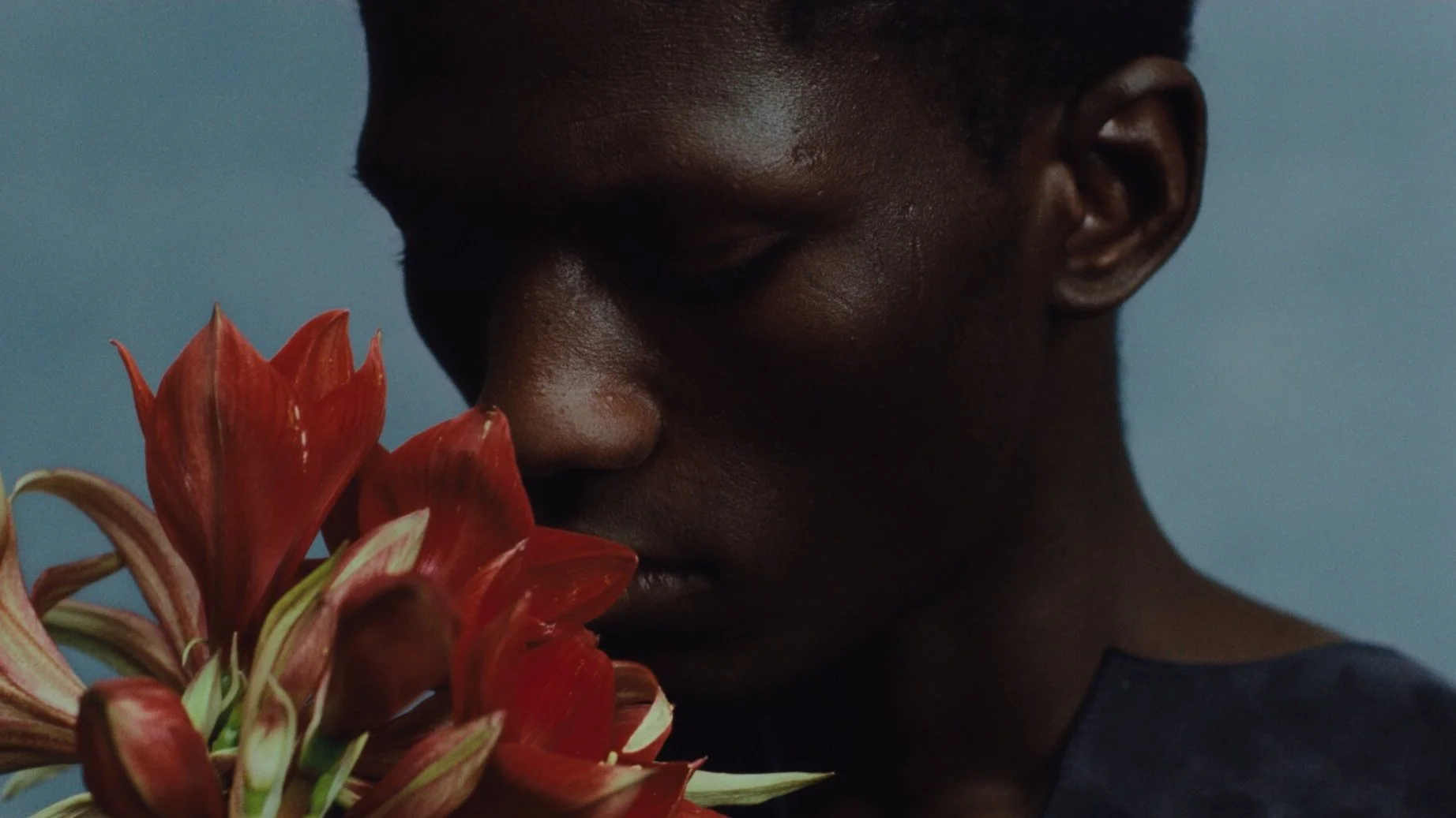 alex bickel — Color Collective