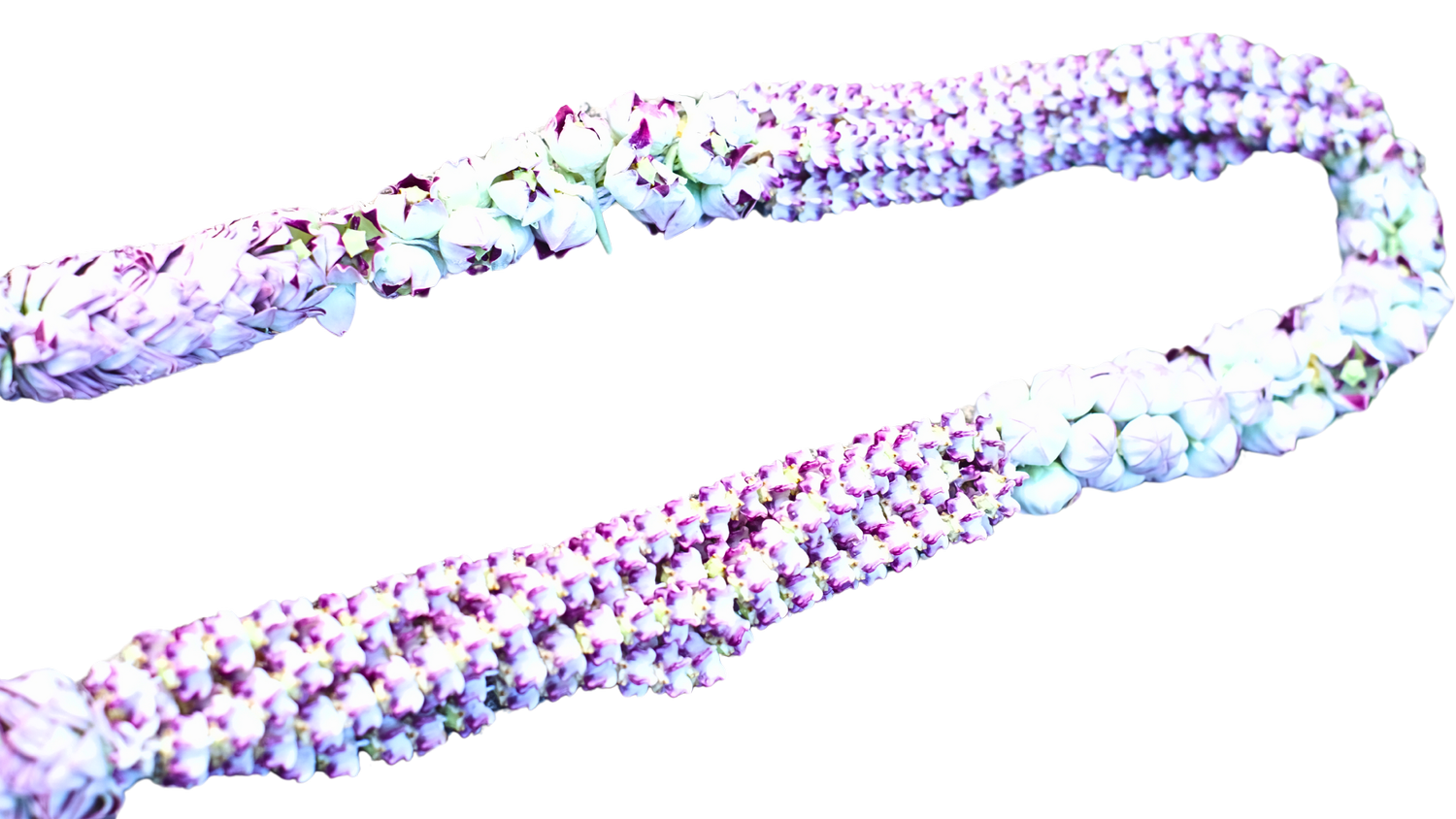 Lei Day Heritage Festival — Maui Historical Society