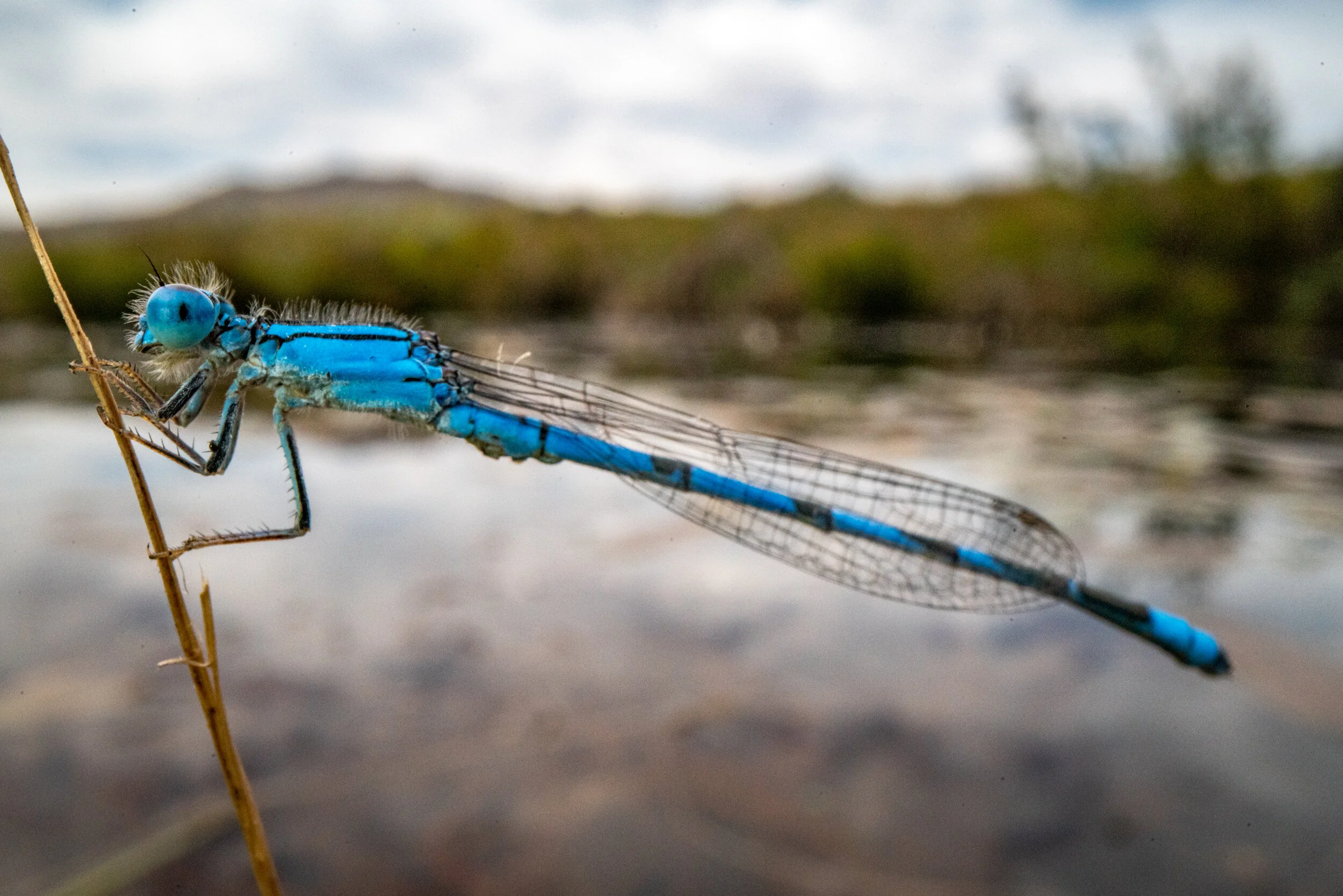 Jeremy Shelton | Freshwater conservation photography