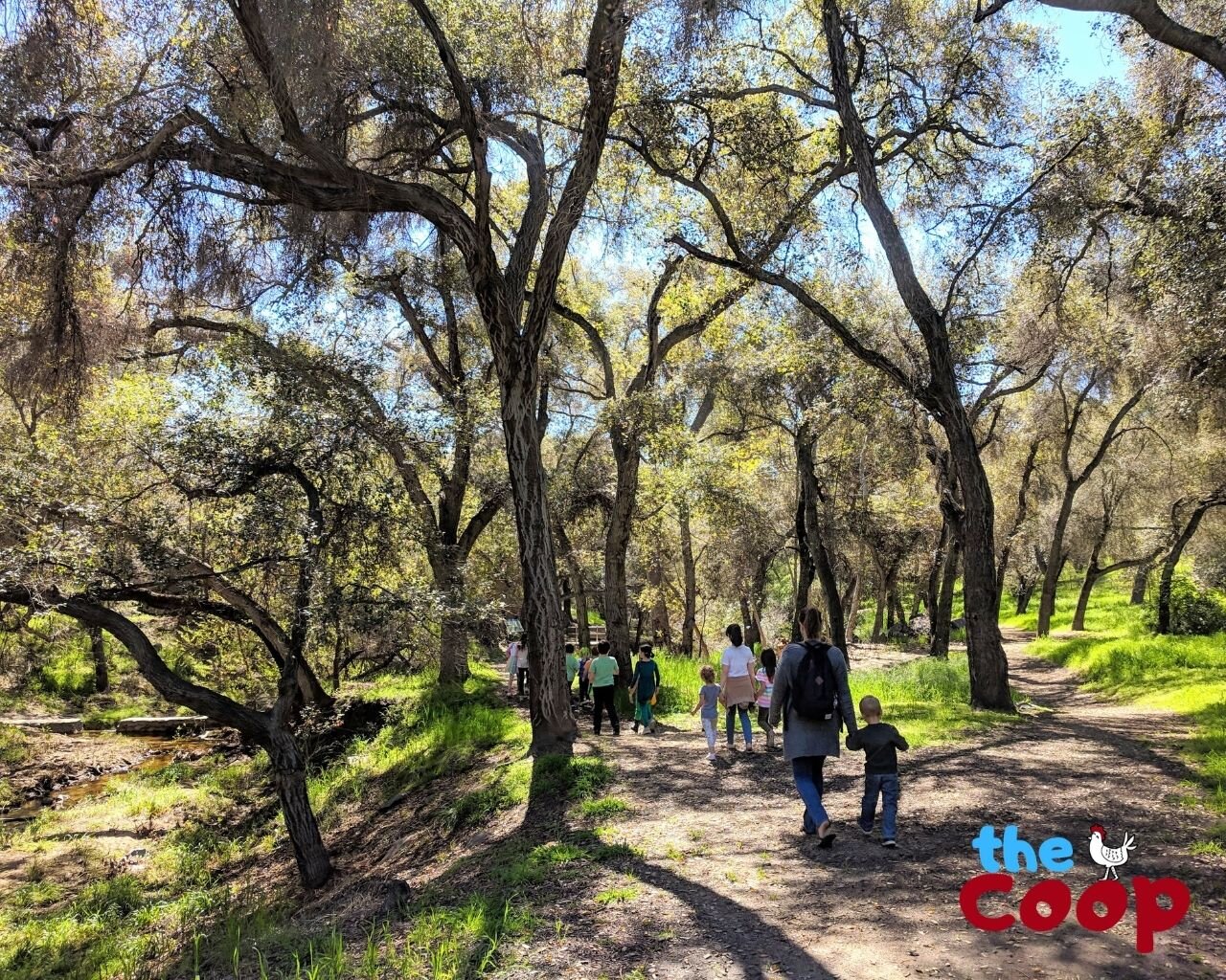 Pinch Me: 5 Ideas for Homeschooling St. Patrick’s Day — The Coop Homeschool