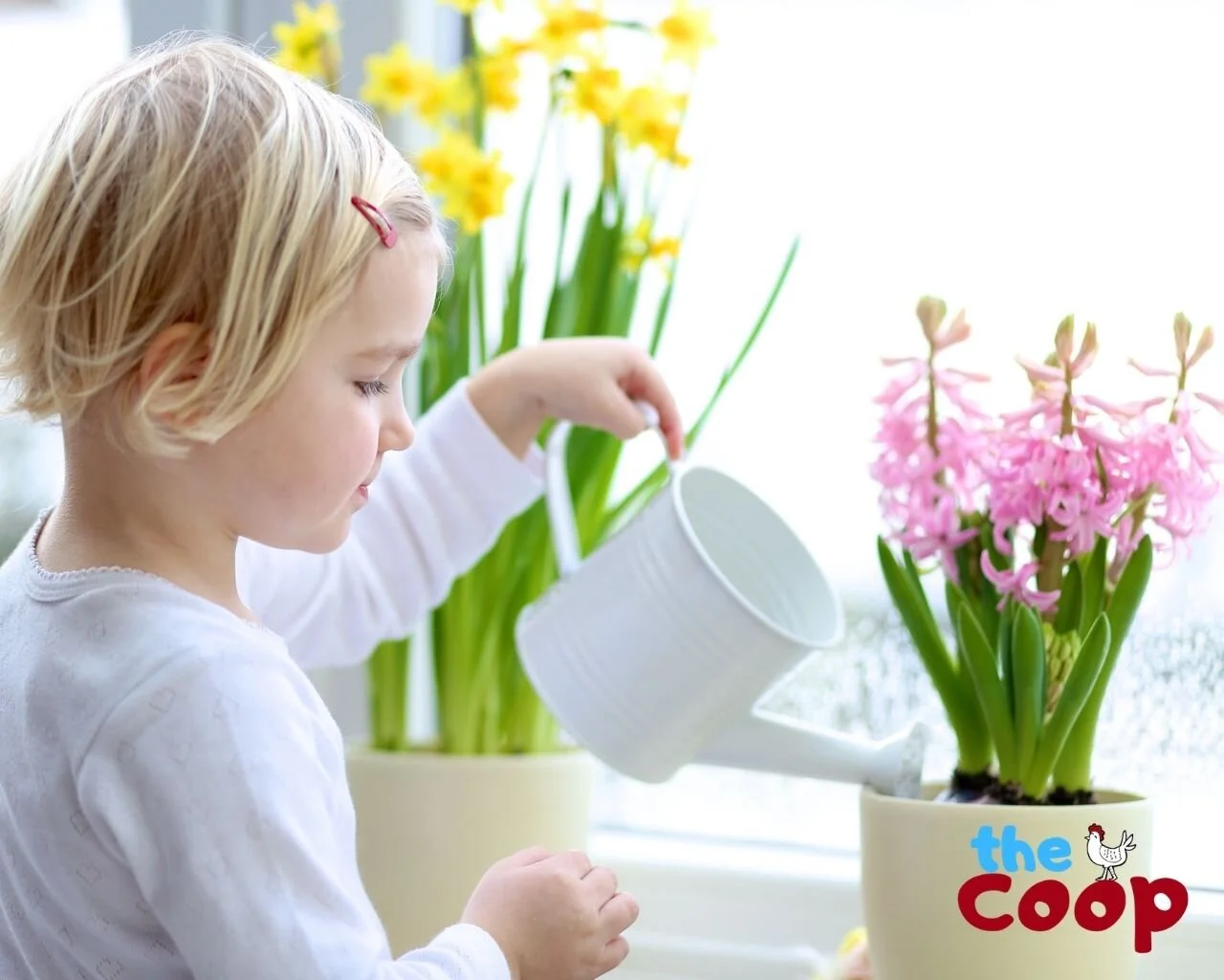 Spring Preschool Theme Day — The Coop Homeschool