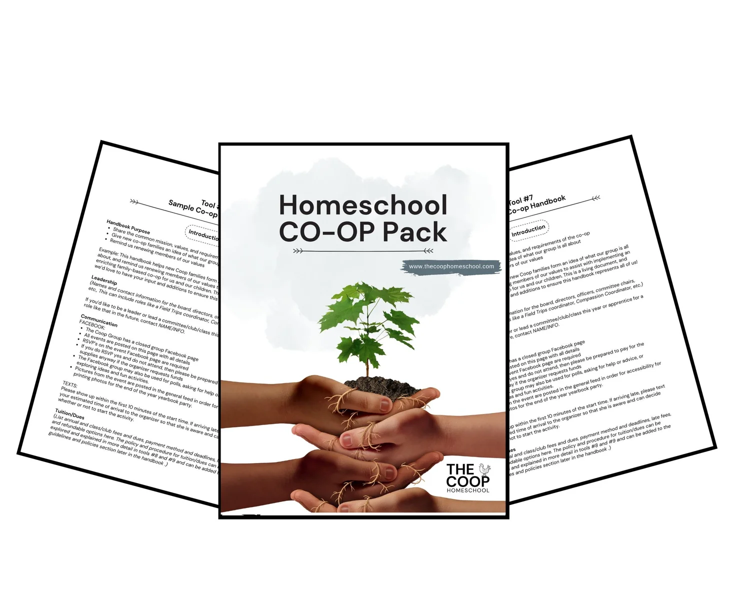 How to Start a Homeschool Co-op (Without Losing Your Mind) — The Coop ...
