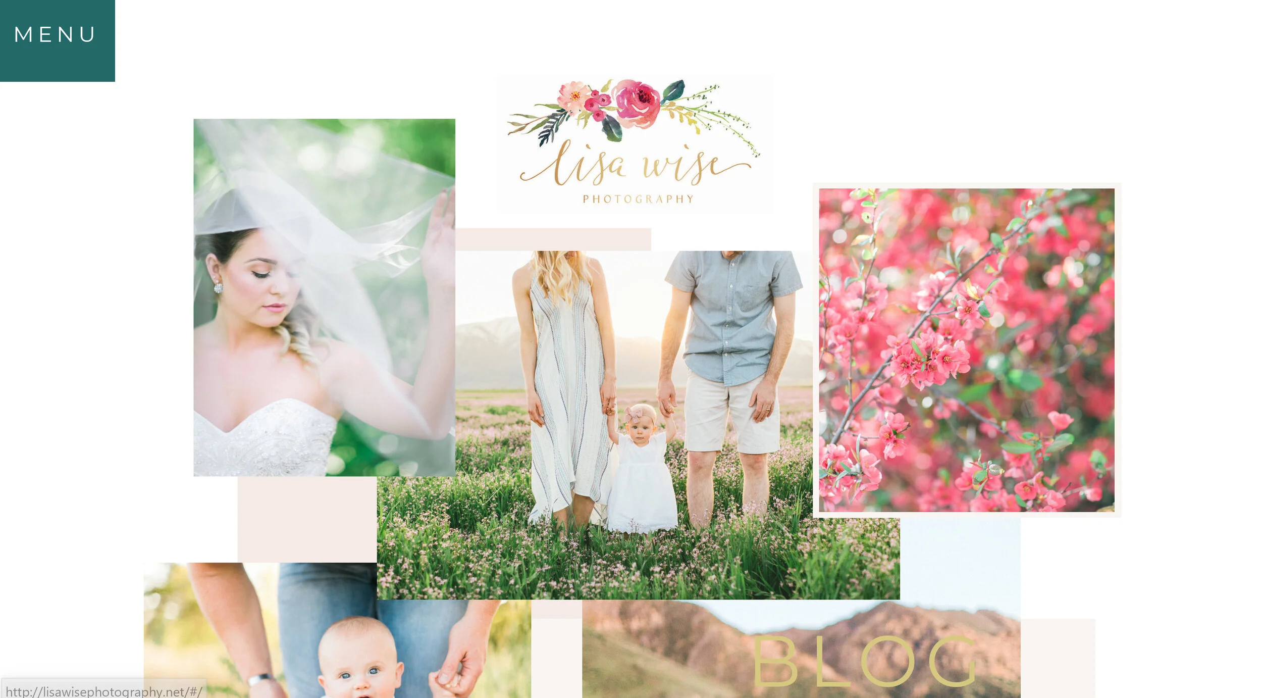 Featured Vendors — Settlers Creek