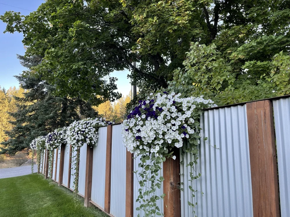 Site Fencing and Flowers — Settlers Creek