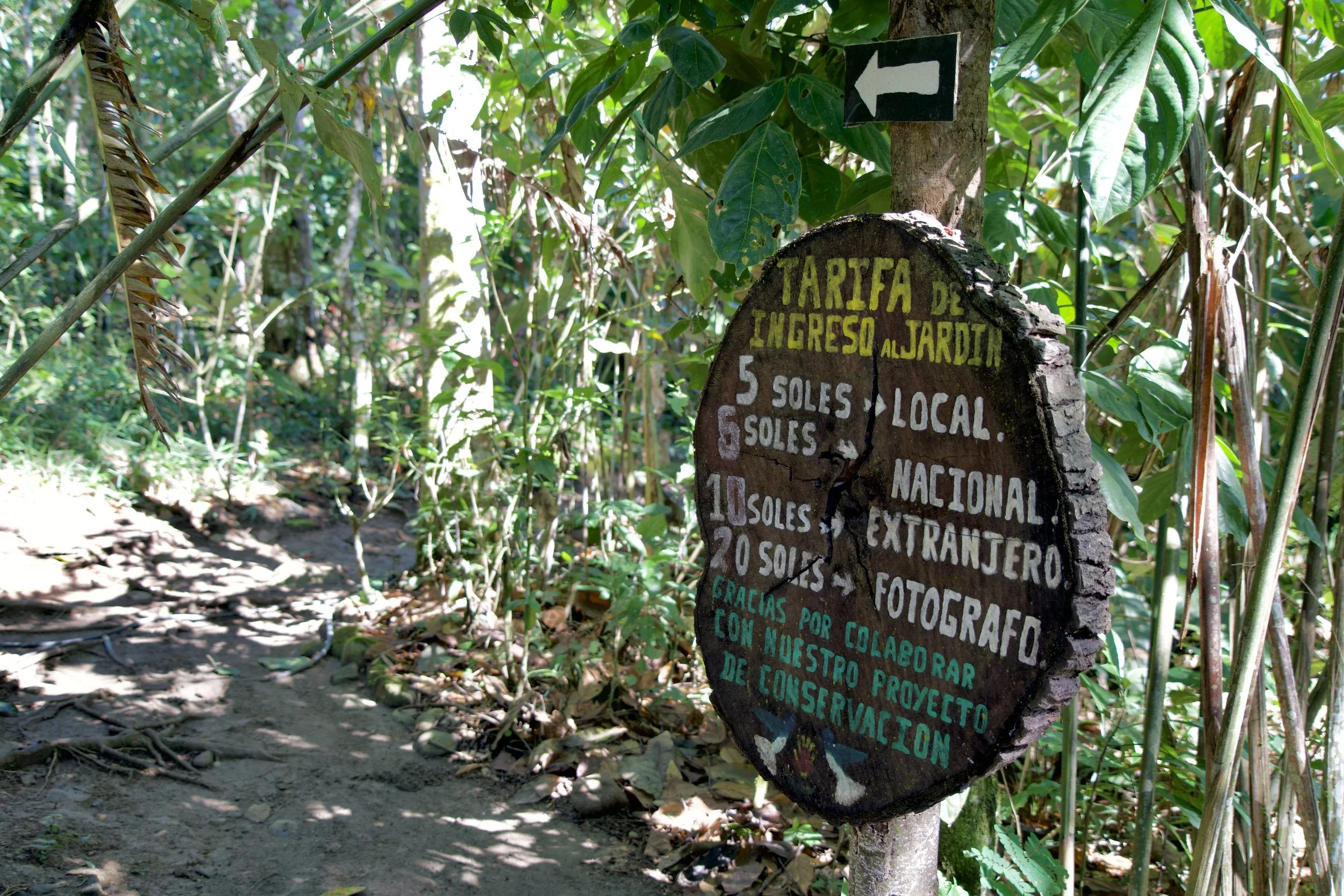 How can you support reforestation in the Amazon? — Heather Jasper