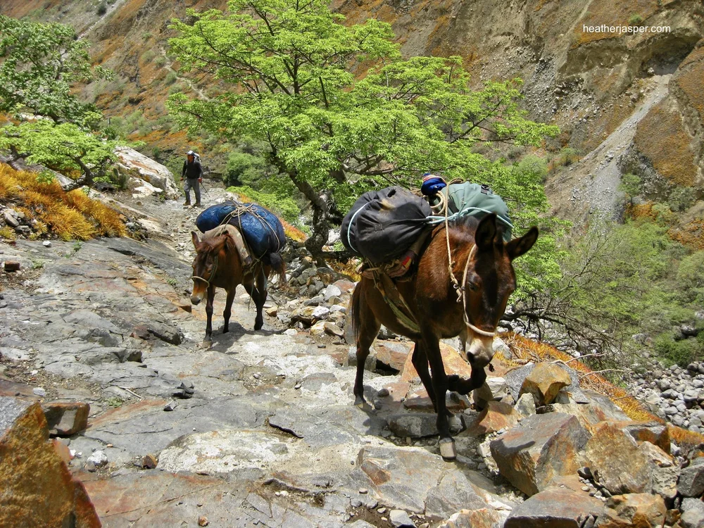 Don't hike the Inca Trail - unless you understand how to do it ...
