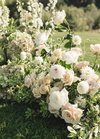 KATE + SAM — Two Hands Floral | Sun Valley Ketchum Wedding and Event ...