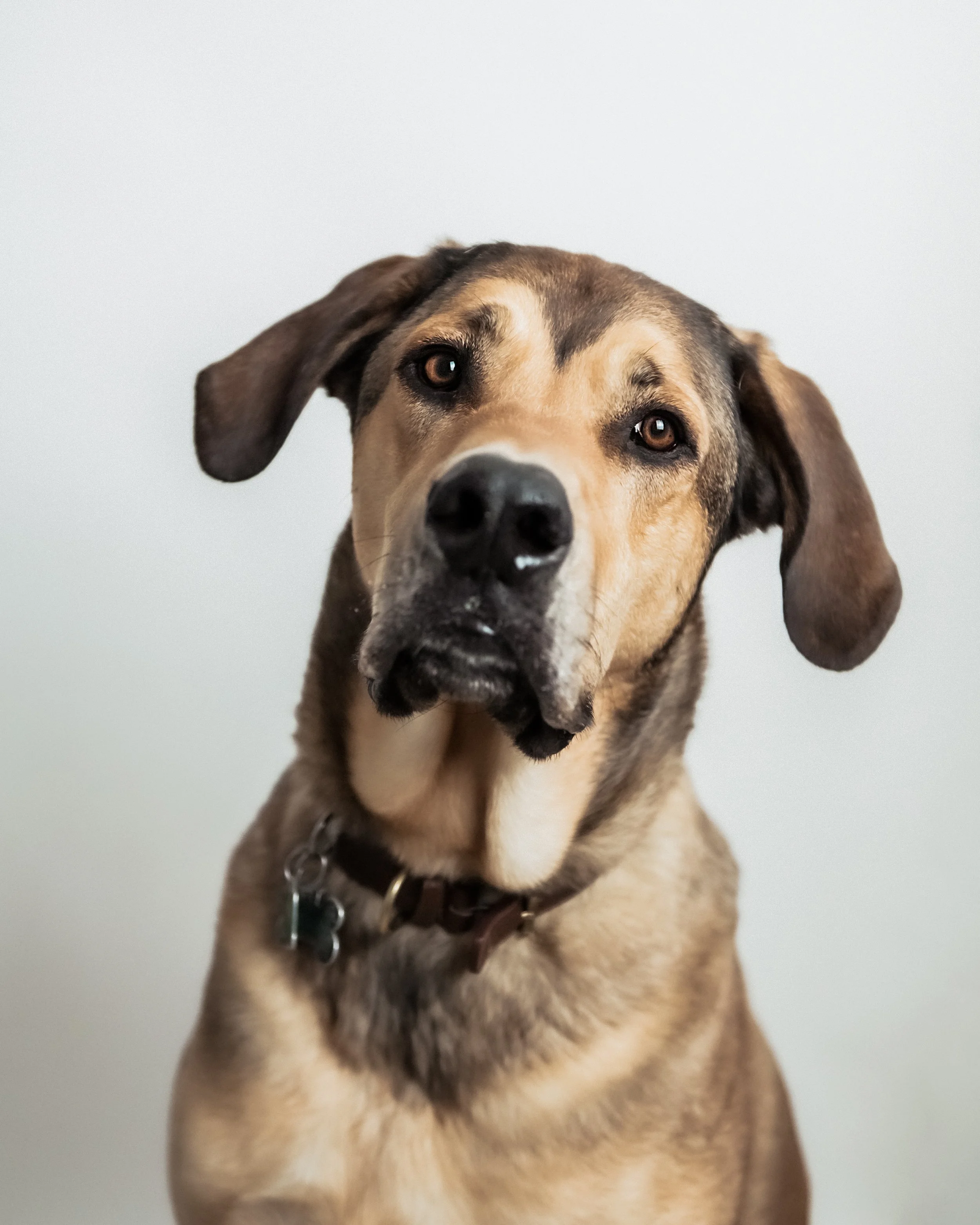 ABOUT — Freshly Pressed | Marketing & Web Design Agency Calgary ...