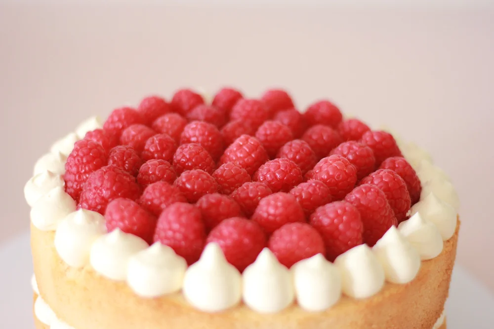 Premium Celebration Cakes Sydney