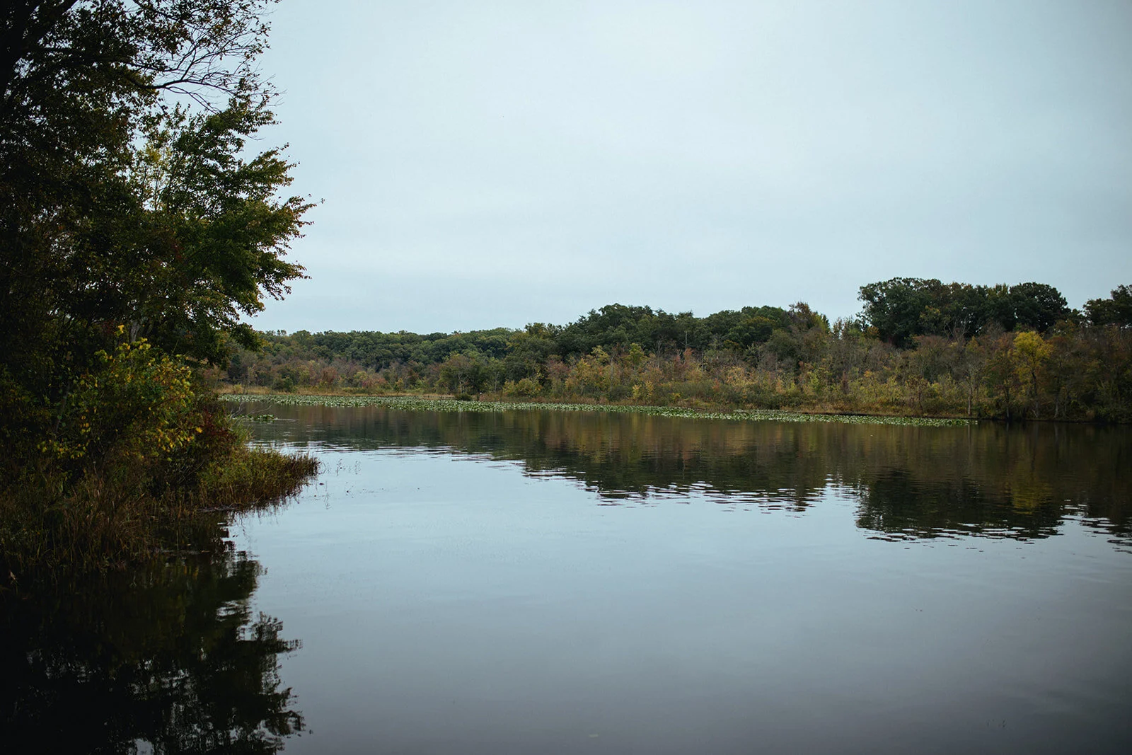Virginia Berry Farm Queer Wedding | Shawnee Custalow