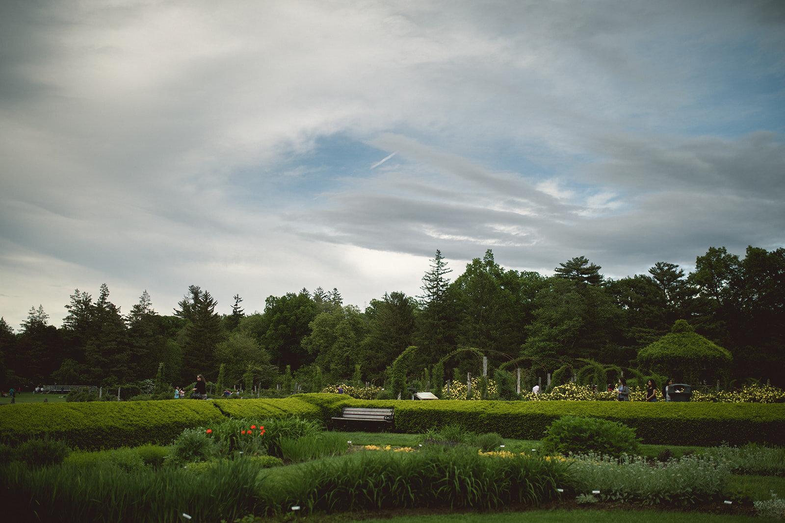 Elizabeth Park Conservatory Wedding in Connecticut | Shawnee Custalow