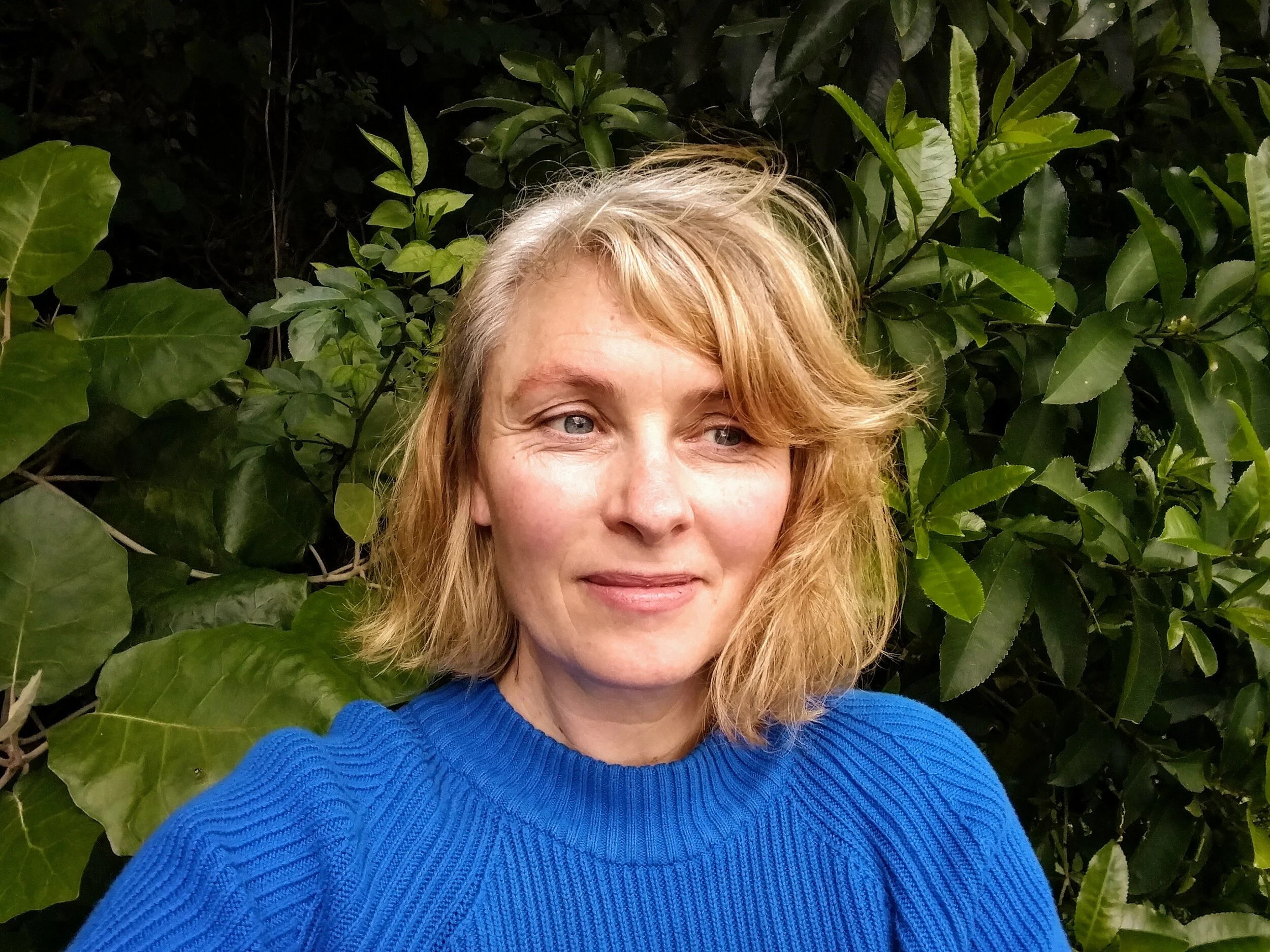 Festival 2021 Introduction — Verb Wellington