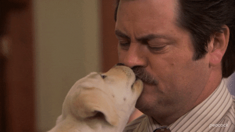 8 Reasons to Be Thankful for Your Pet — Evolve Pet Food