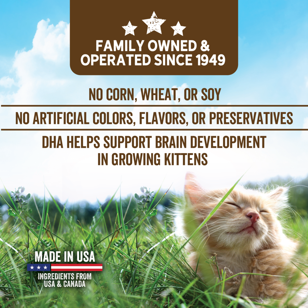 Evolve Grain Free Kitten Food — Evolve Pet Food
