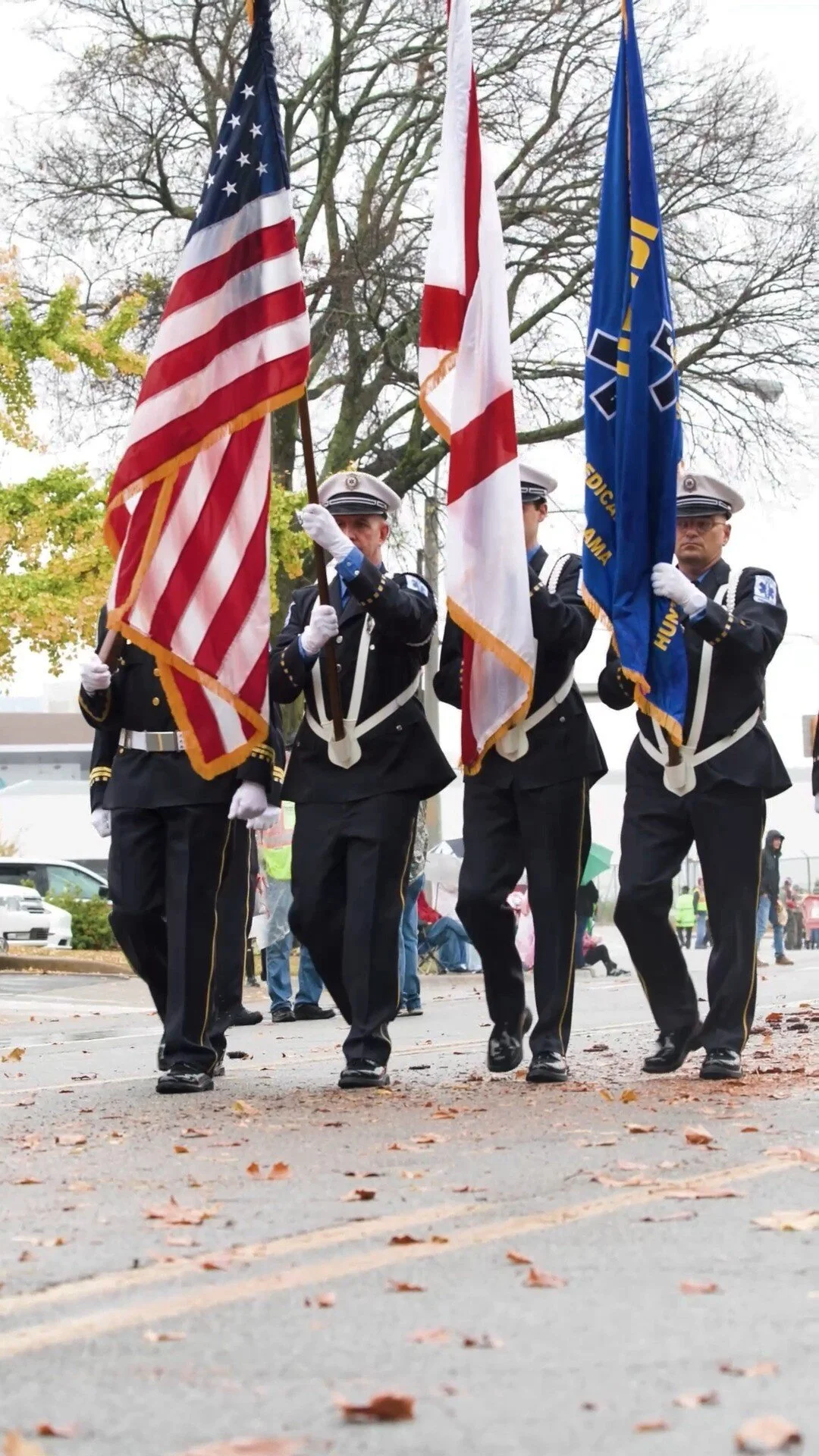 How to Create a Cat Utopia — Evolve Pet Food