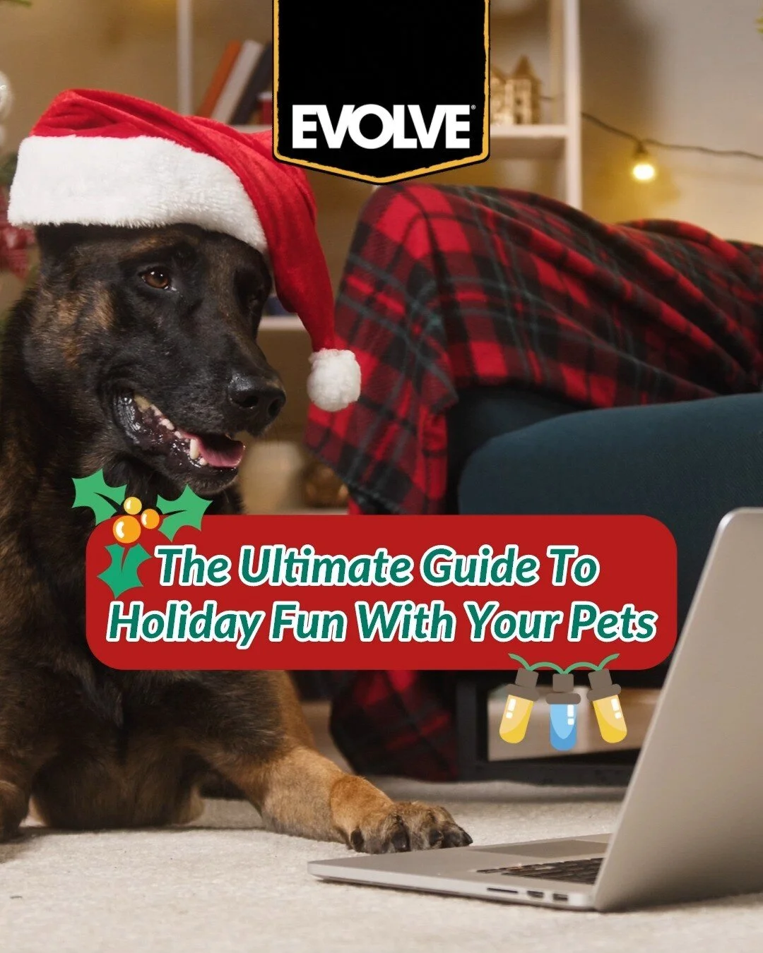 Evolve Classic Crafted Meals Liver Recipe Cat Food — Evolve Pet Food