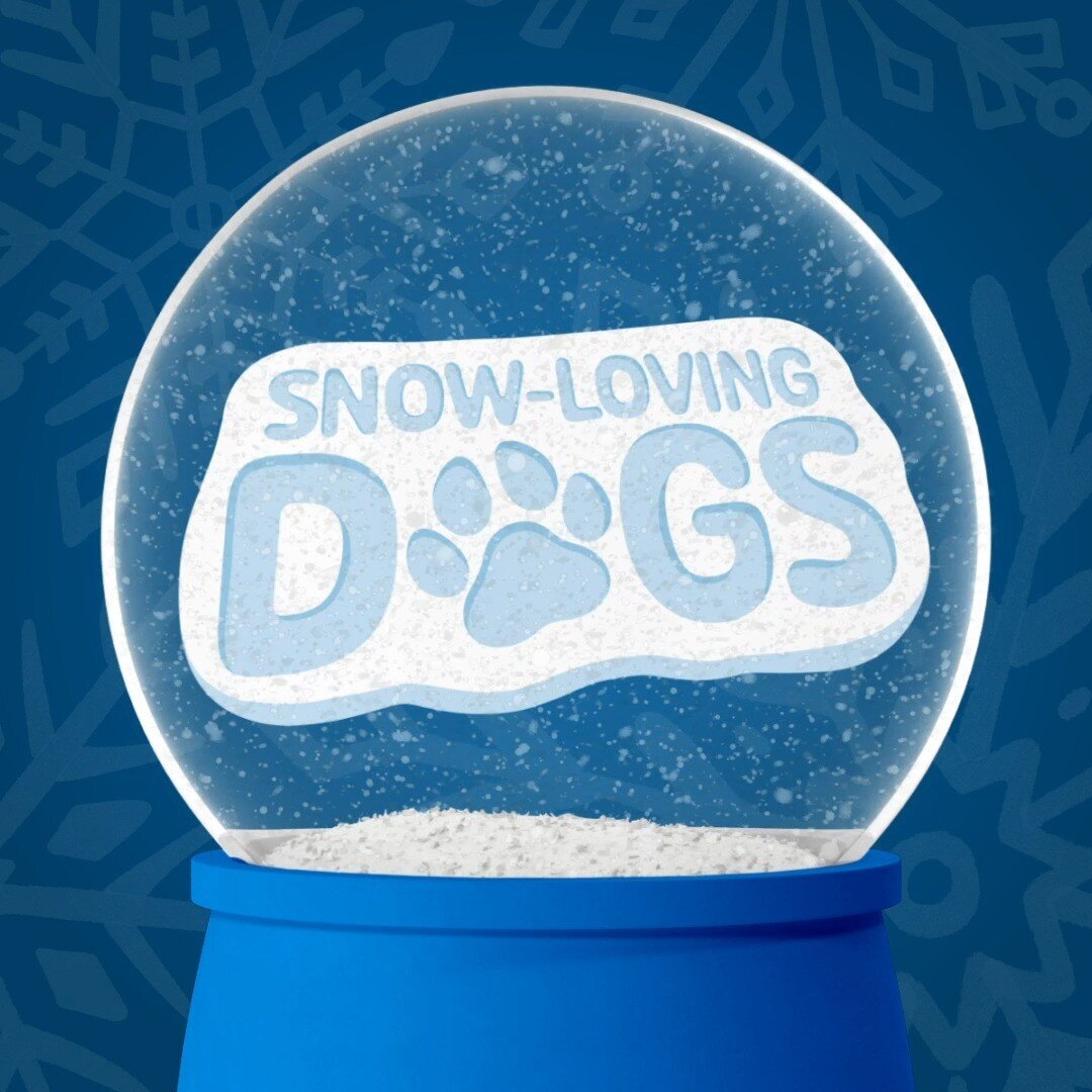 Dry Cat Food — Evolve Pet Food