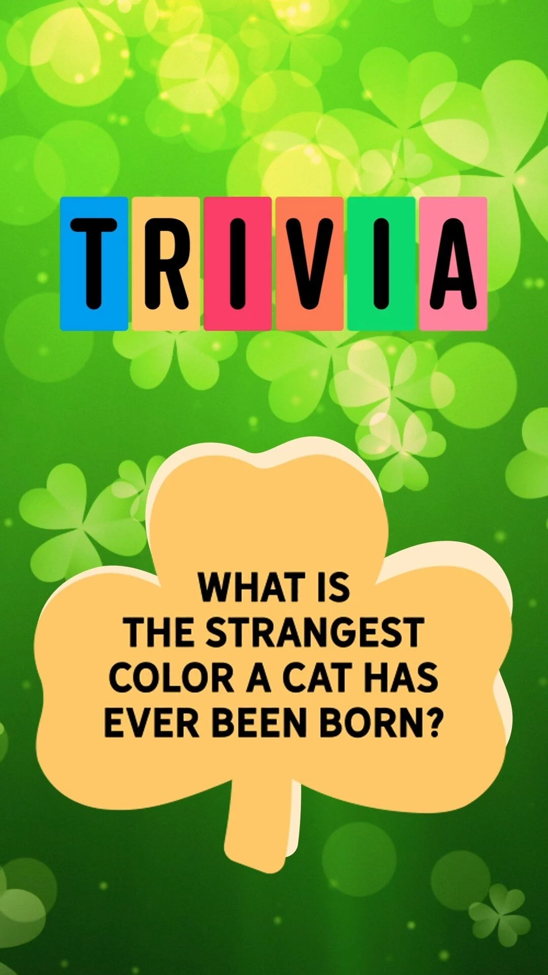 How to Create a Cat Utopia — Evolve Pet Food