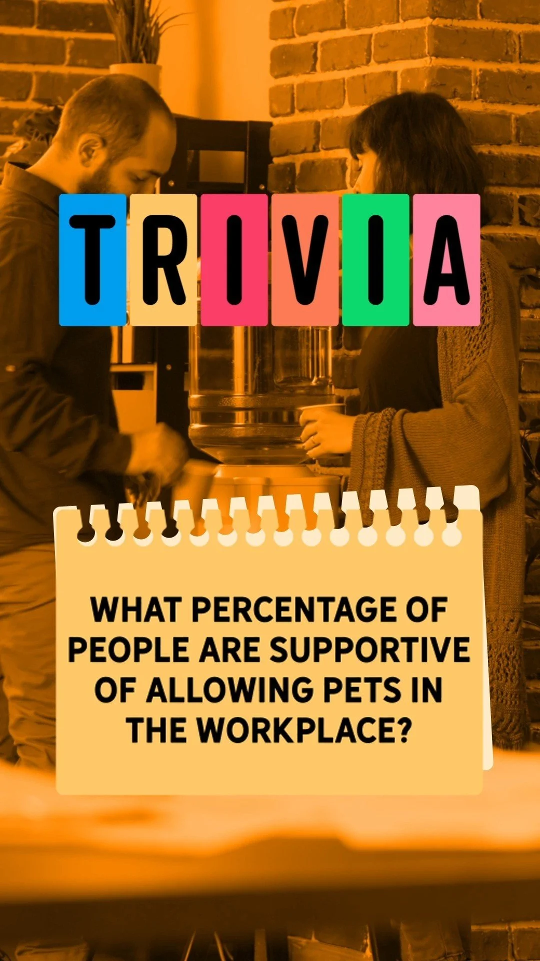 How to Create a Cat Utopia — Evolve Pet Food